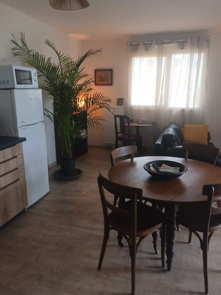 Joli 3 Pièces Avec Jardin. - Dijon