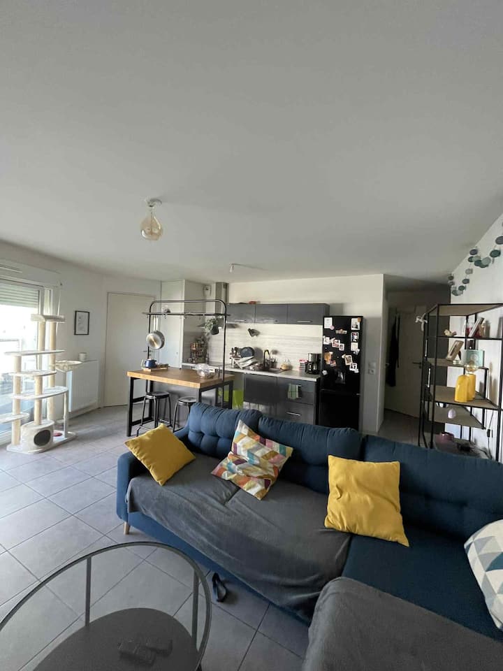 T3 Cosy Et Plein D'amour - Proche Navette Eurexpo - Lyon