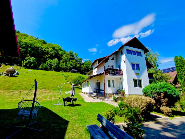 Refugiu De Vis îN Bran - Peștera