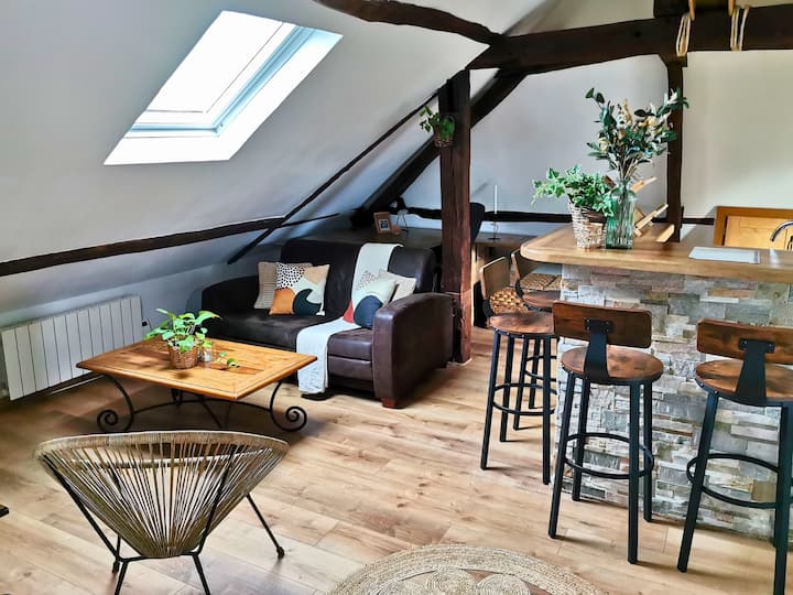 • Les Combles • Wifi/tv/tram - Tours