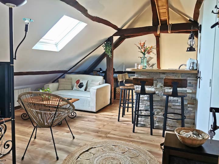• Les Combles • Wifi/tv/tram • Logement Bio - Tours
