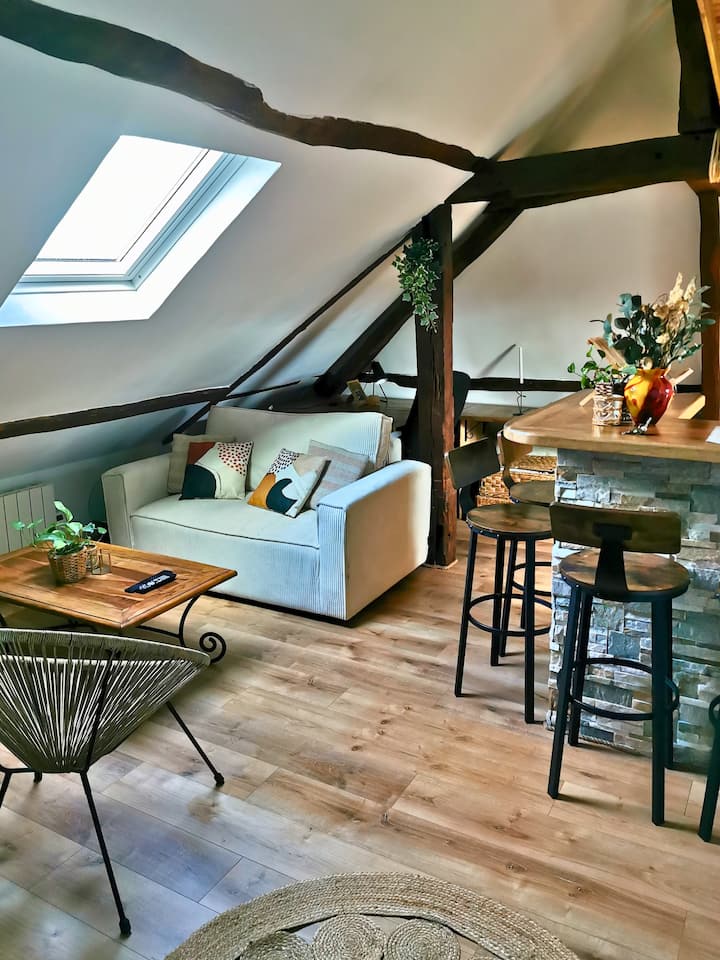 • Les Combles • Wifi/tv/tram • Logement Bio - Tours