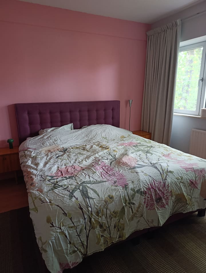 Rustig Appartement Nabij Eindhoven - Turnhout