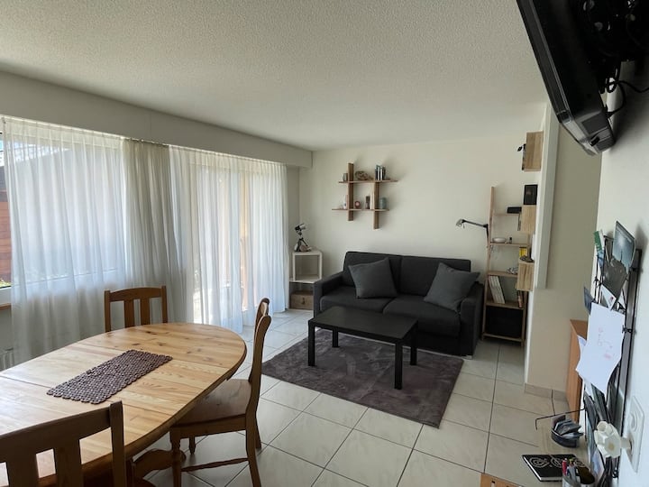 Grand 2 Pièces Lumineux Avec Terrasse Au Calme - Leukerbad