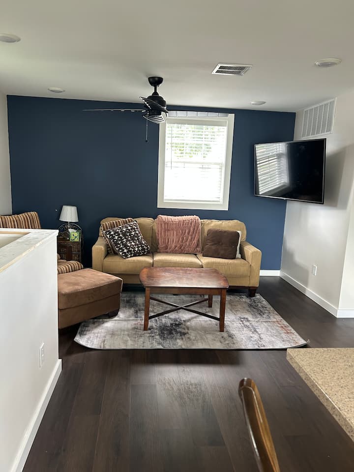 Ollie's Irish Flat - South Bend, IN