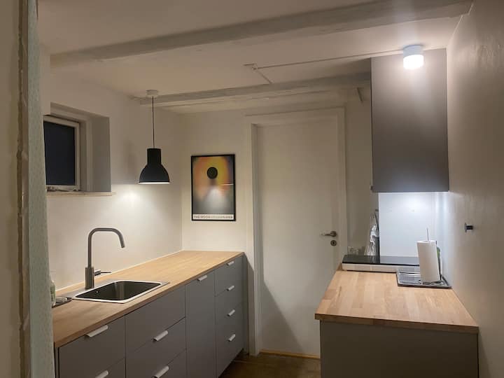 Green Surroundings, 15 Min. To City Center - Copenhagen