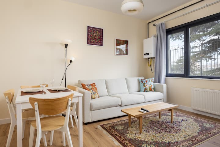 Cozy Flat With Stunning View - Zeytinburnu
