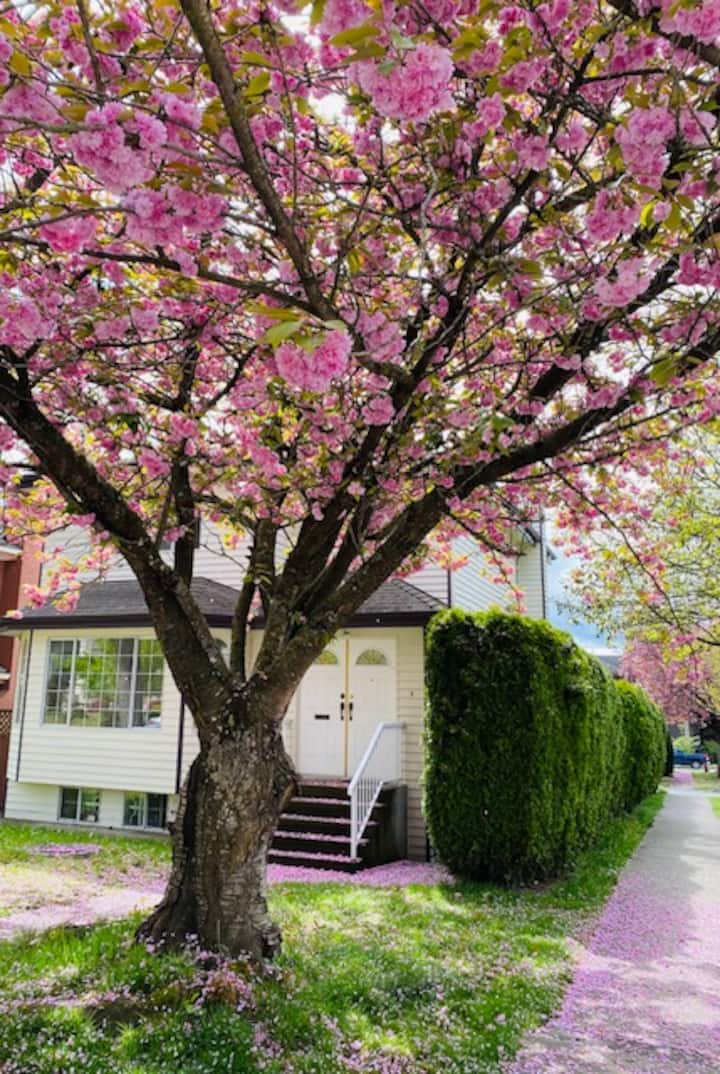 Cozy&convenient Home 15 Mins To Vancouver Downtown - Vancouver