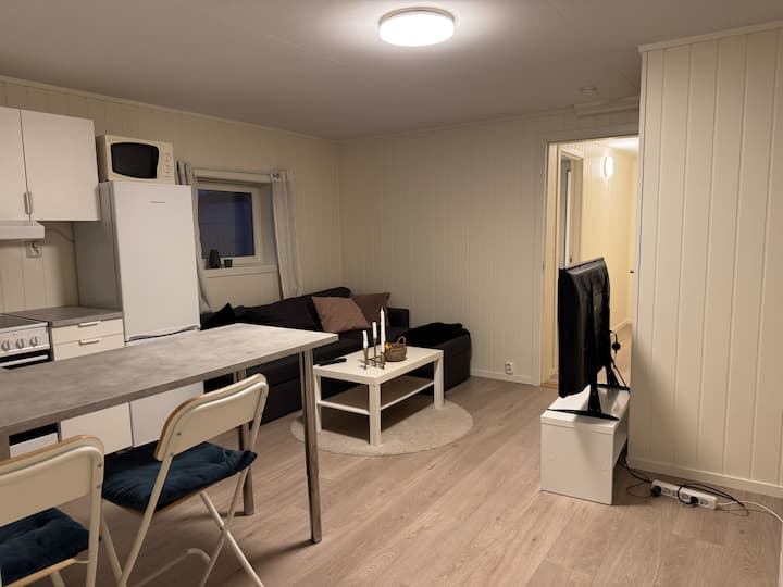 Moderne Og Trivelig 3 Roms Leilighet! Egen Inngang - Saltstraumen