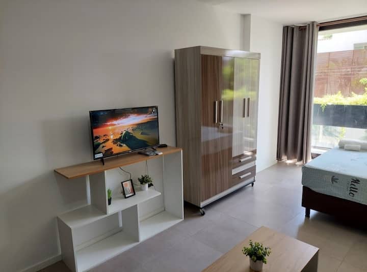 Ejecutivo Departamento - Bolivie