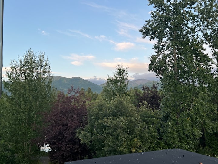 The Chugach View Cottage - Chugach State Park, Anchorage