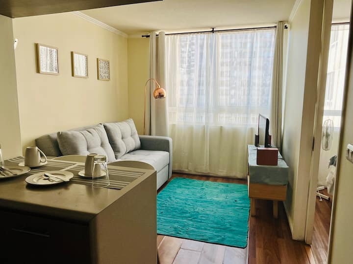 Hermoso Departamento Cerca De La Moneda-mov Arenas - Santiago (Chile)