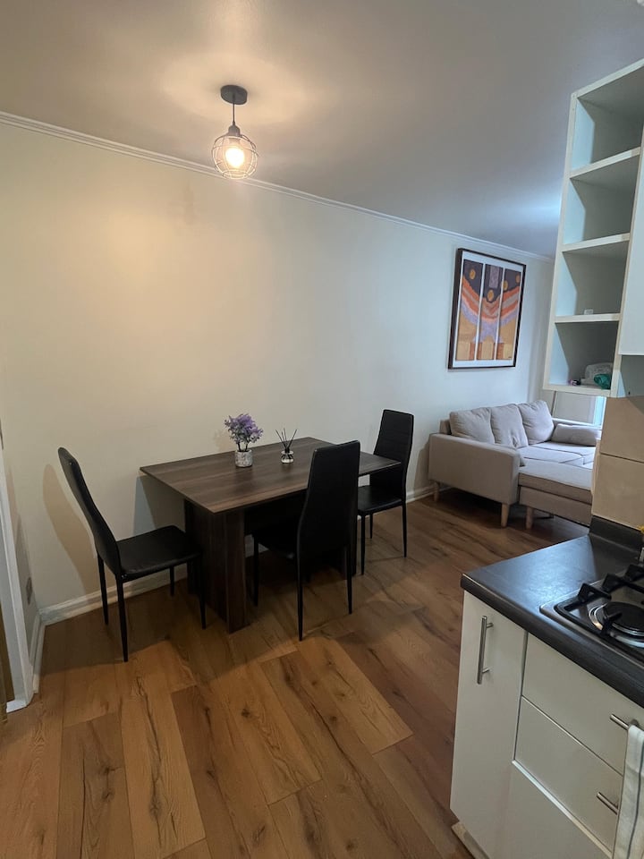 Departamento Full Equipado - Osorno