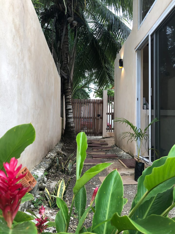 Katalox Studio - Bacalar