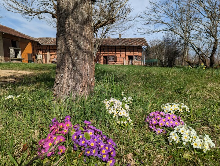 Maison - Ain