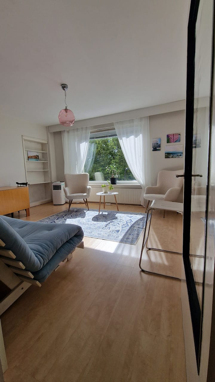 Kaksio Aurajoen Rannalla - Turku