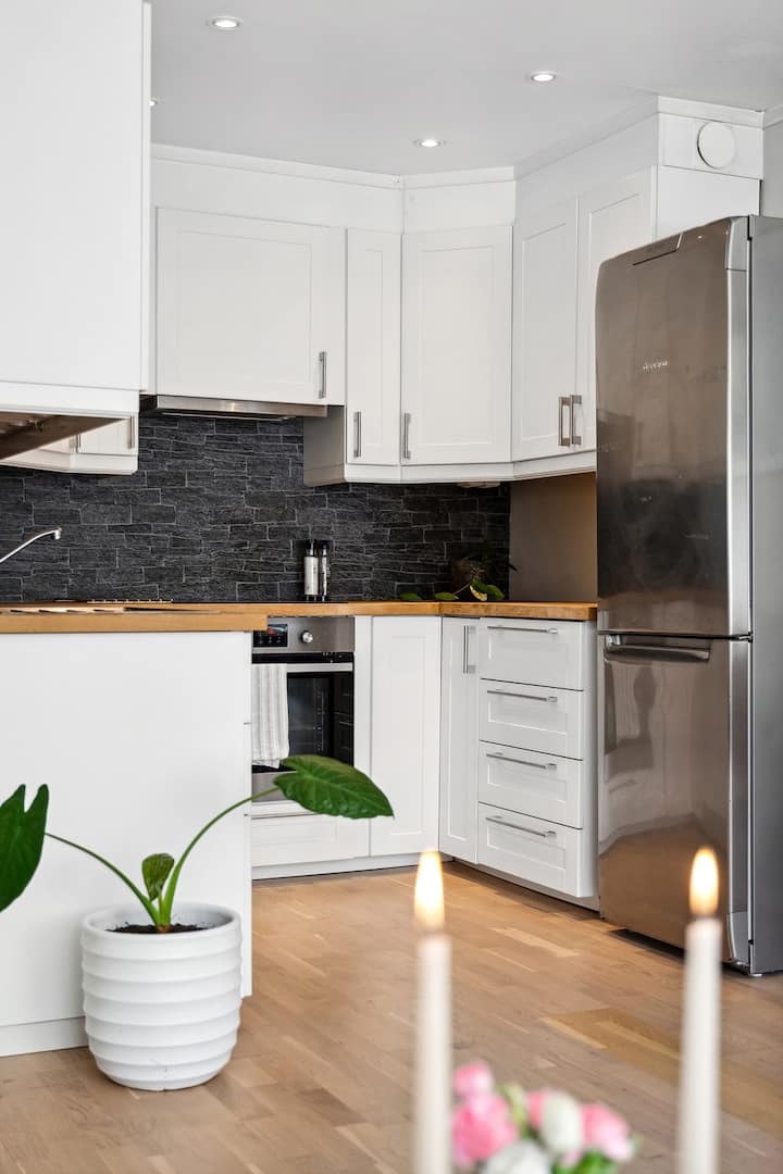 Lys Og Sentral Leilighet - Oslo