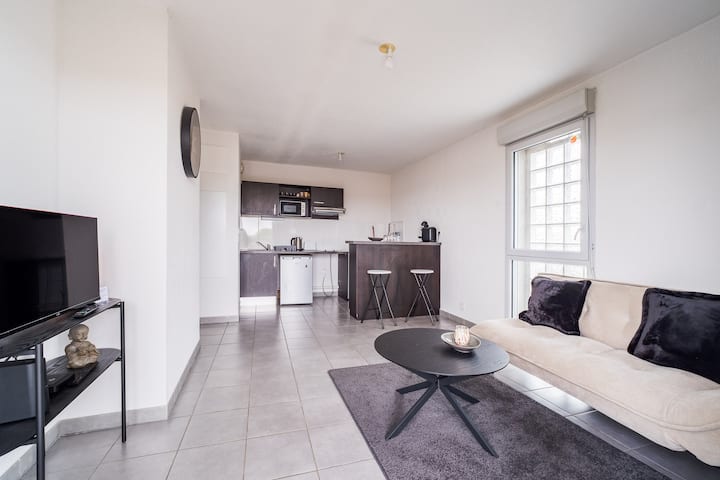 Charmant T2 3 Pers. Launaguet - Aucamville