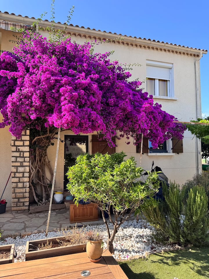 Bas De Villa Paisible - Toulon