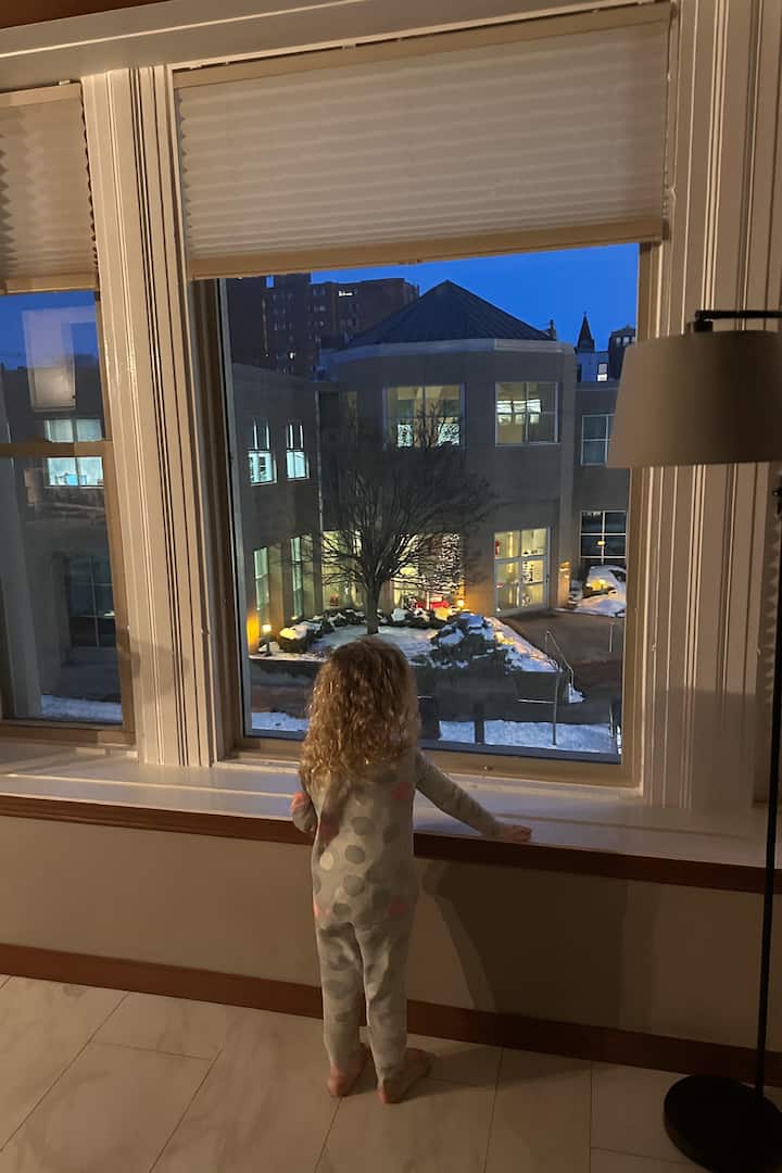 Downtown;walk To Shops, Restaurants, Entertainment - Wildcat Den State Park, Muscatine