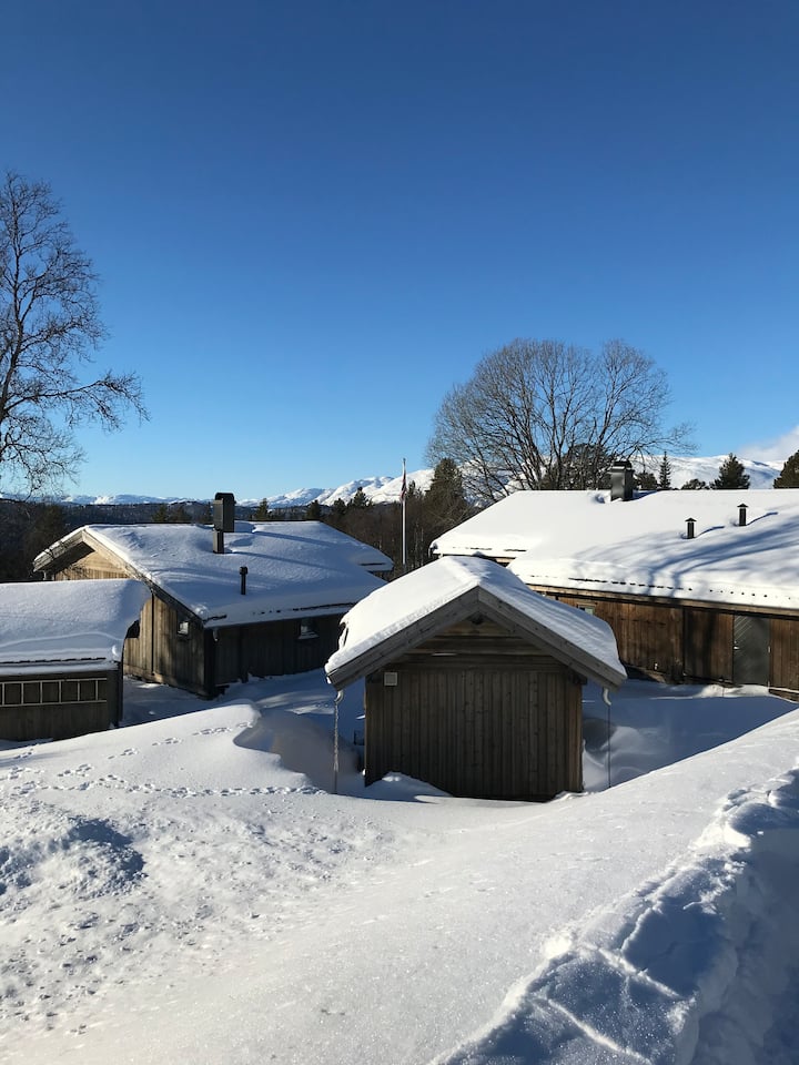 Hyttetun/ Cozy Cabin Retreat, Rauland Skisenter - Norveç