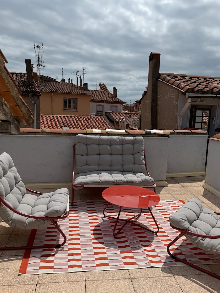 Terrasse Sur Le Toit, App. Spacieux Dans Le Centre - Perpignan