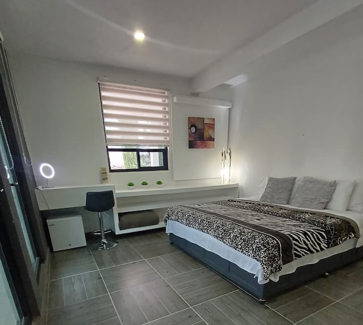 Suite1 Entrada Independiente Y Estacionamiento - Querétaro