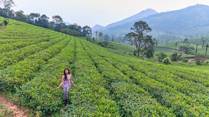 Sylora Meadows Private Pool Villa | Free Breakfast - Vagamon