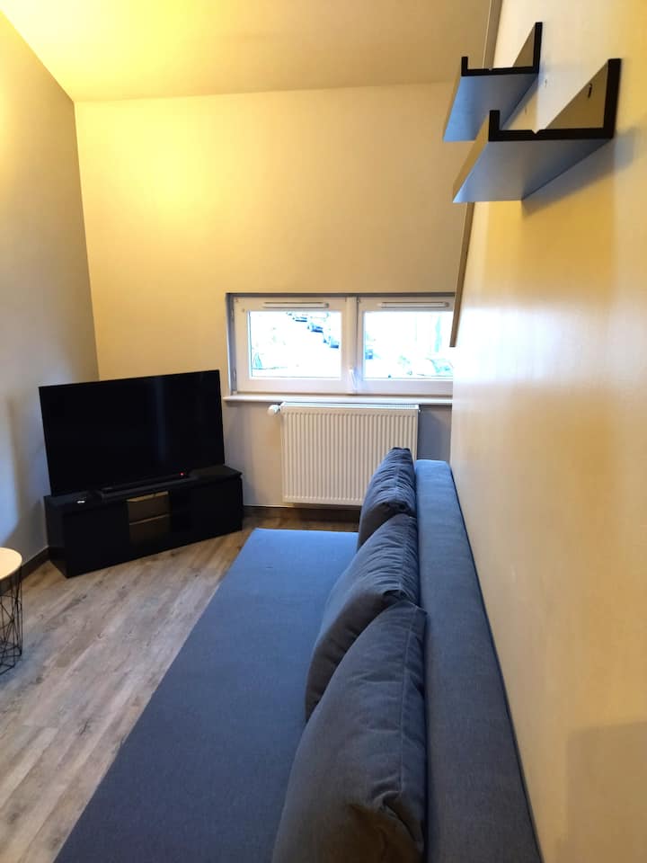Triplex En Bail Mobilité - Roanne