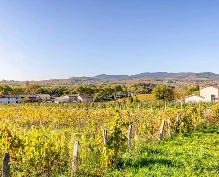 Maisonnette Au Cœur Des Vignes - Blacé