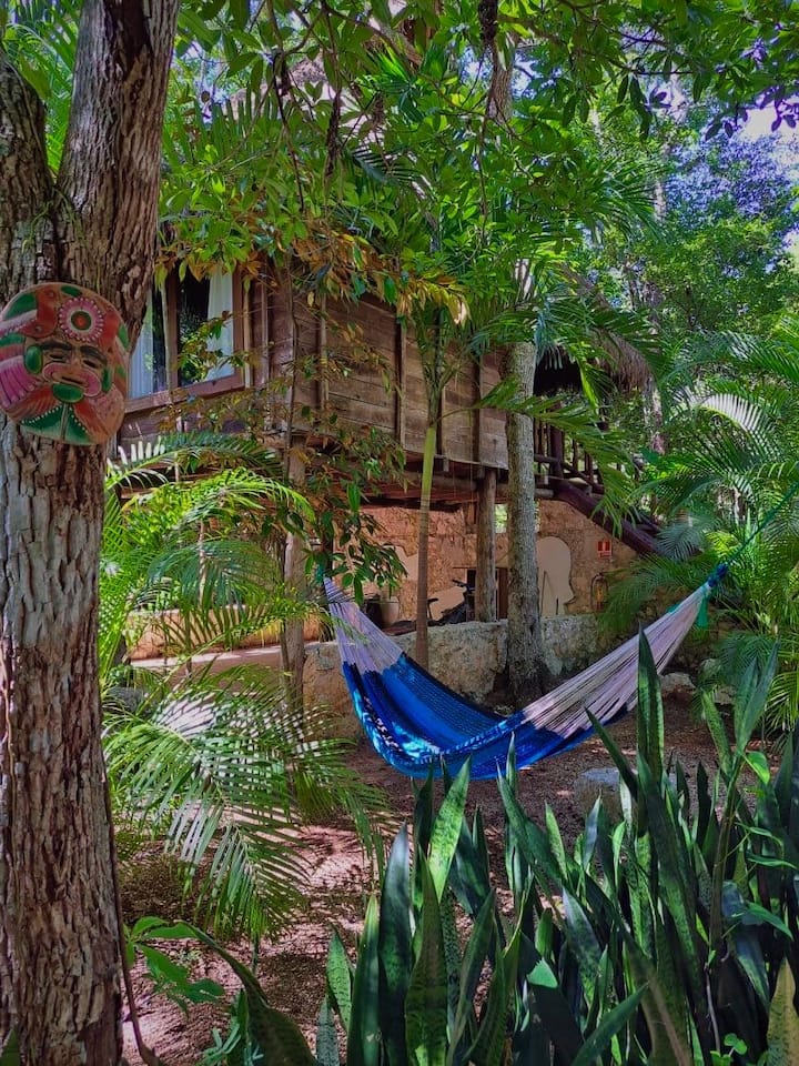 Casa Mango -Jungle Cabañas / B&b / Laura - Riviera Maya
