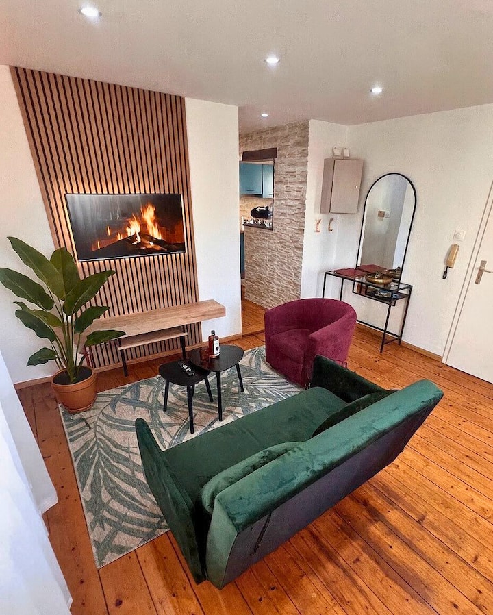 L'ecrin Alsacien ~ Proche Europa Park ~ Familial - Fegersheim