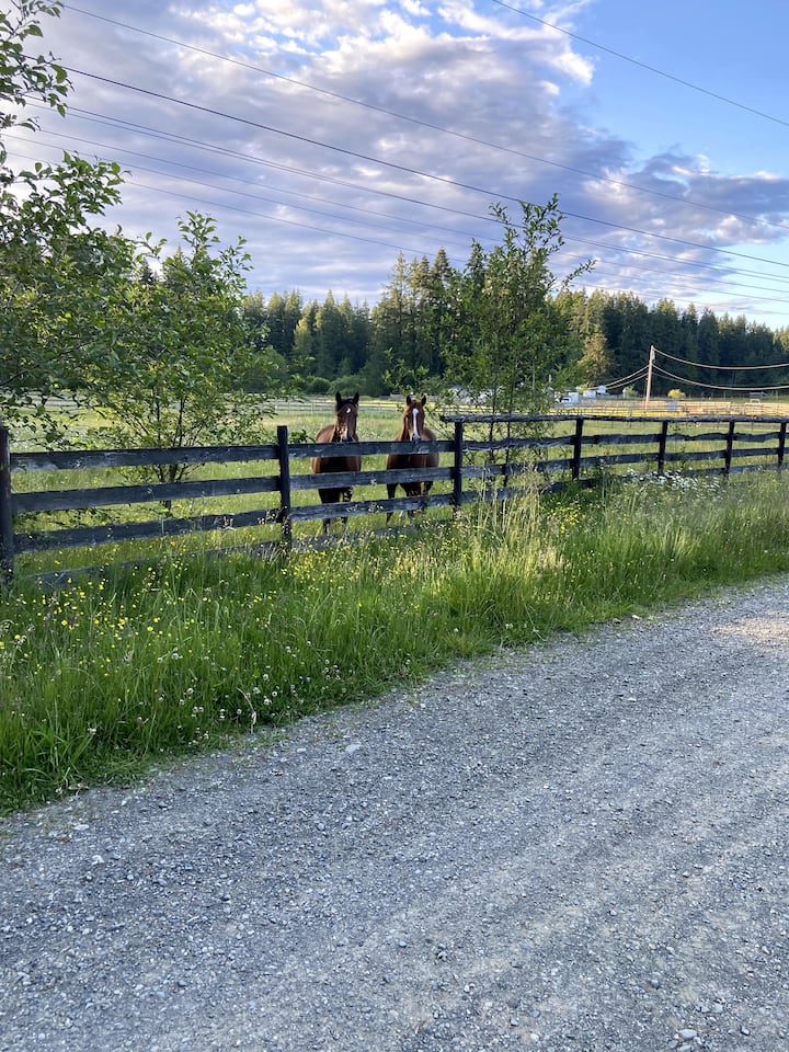 Cozy Country Getaway - 코트니