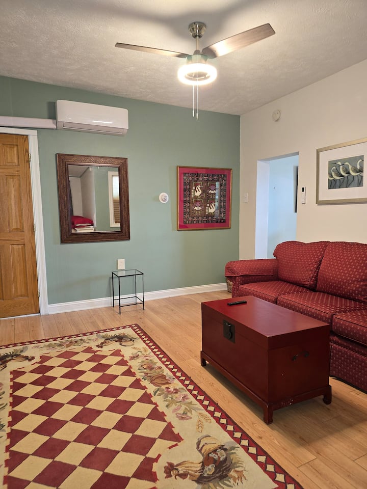 Victorian Charmer - East Lansing, MI
