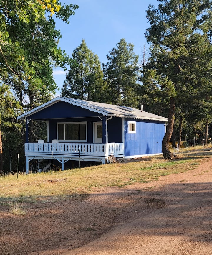 Cabin Fever - Colorado