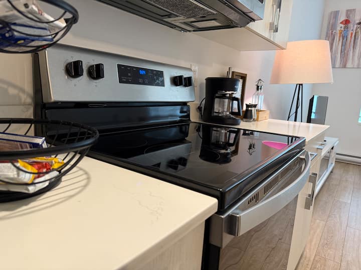 Stylish Downtown Loft Getaway - Winnipeg