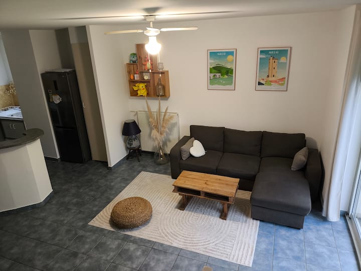 Maison Accueillante Avec Jardin - Millau