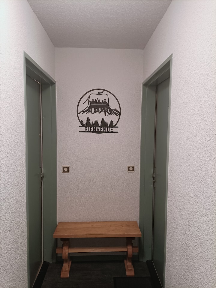 Location De Deux Appartements. - Samoëns