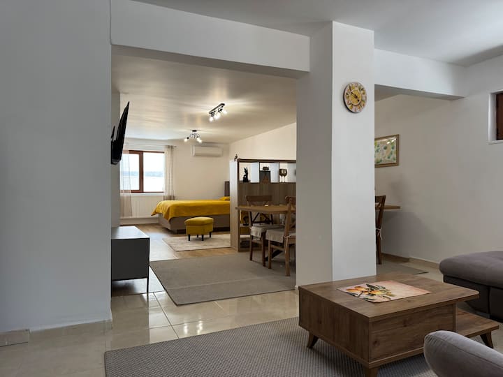 The Lemon Apartment. - Petrič