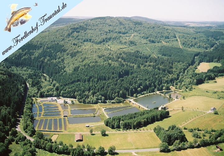 ÜBernachtung Naturnah U. Ruhig - Hoppstädten-Weiersbach