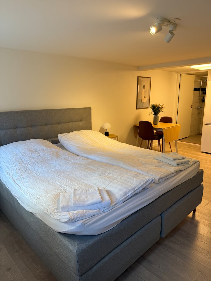 Lys Og Moderne Kælderlejlighed Nær Aalborg Centrum - Denmark