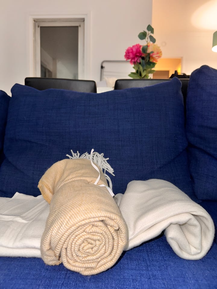 Appartement 2 Pièces Avec Balcon – Porte Dorée M8 - Bagnolet