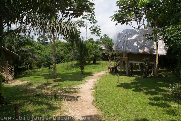 Cabane Sur Pilotis Immersion Complète En Nature - Côte d'Ivoire