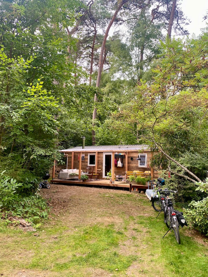 Boshuisje Veluwezoom Np - Dieren