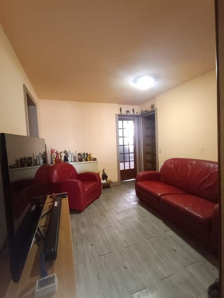 Grand Appartement à Deux Pas De La Cathédrale - Estrasburgo