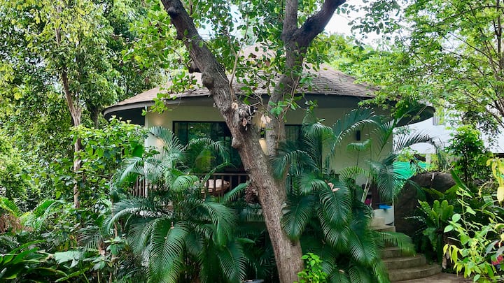Cozy Jungle Nest - Ko Pha Ngan
