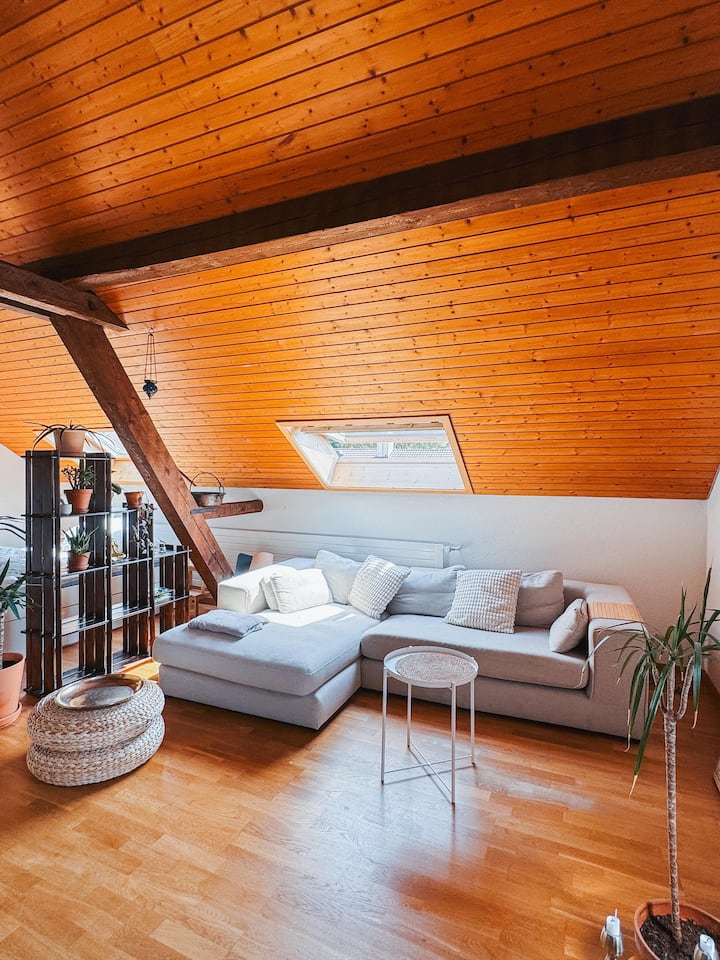 Dachwohnung Im Herzen Von Bern - Bern
