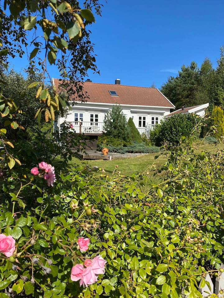 Velkommen Til Sydspissen I Norge - Spangereid