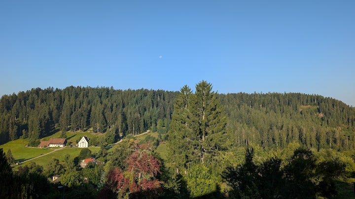 Perfekte Lage: Zentral Zwischen Marktplatz & Tal - Freudenstadt