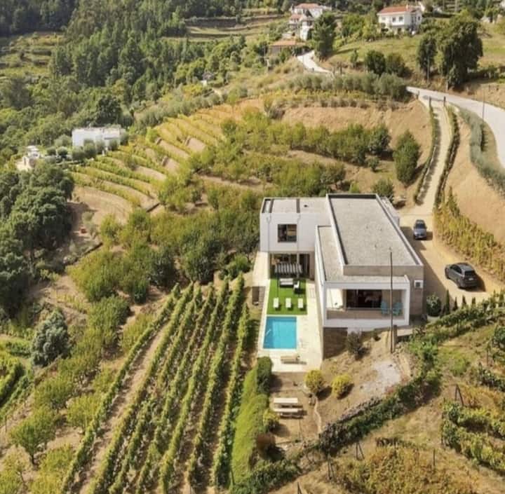 Villa Dans Le Douro Avec Piscine - Resende